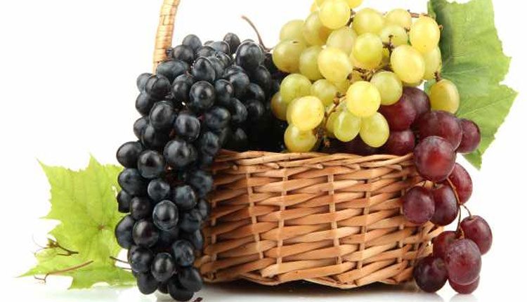 నల్ల ద్రాక్షతో బోలెడు ఆరోగ్య ప్రయోజనాలు-Namasthe Telangana