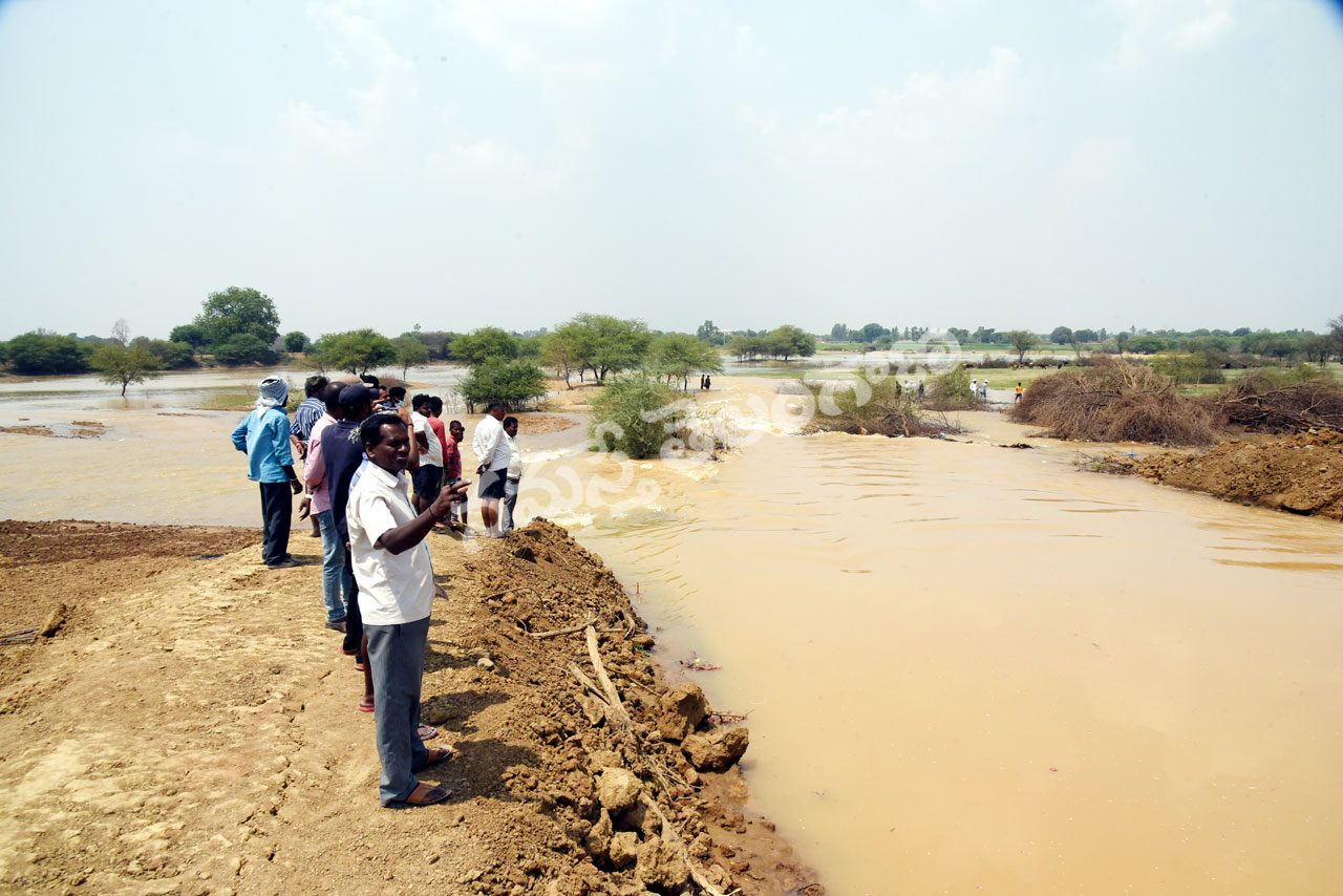 గంగ‌మ్మ పొంగె.. రైత‌న్న ఉప్పొంగె..-Namasthe Telangana