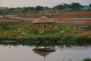 నాడు కంపు.. నేడు ఇంపు : మూసీ అందం చూశారా-Namasthe Telangana