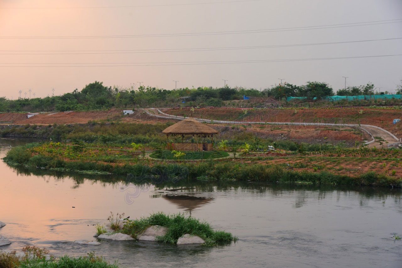 నాడు కంపు.. నేడు ఇంపు : మూసీ అందం చూశారా