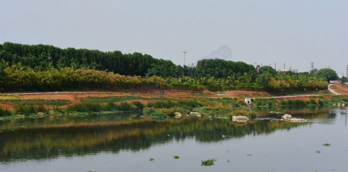 నాడు కంపు.. నేడు ఇంపు : మూసీ అందం చూశారా-Namasthe Telangana