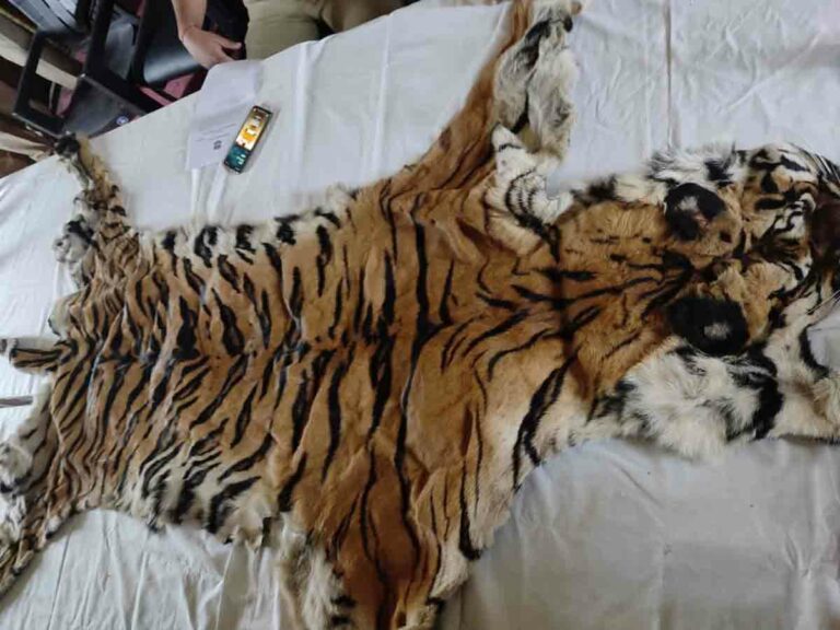 పులి చ‌ర్మం విక్రేత‌లు ఇద్ద‌రు అరెస్టు-Namasthe Telangana