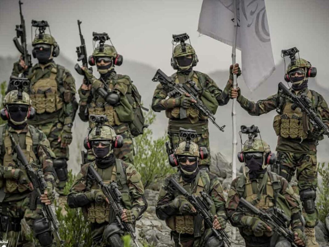 Badri Battalion : దేశ రక్షణలో తాలిబాన్‌ ‘బద్రి 313’.. ఎవరంటే ...