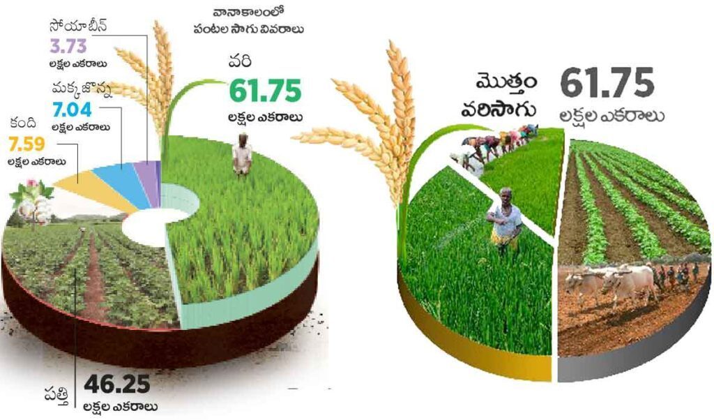 పంటల్లో వరి మోతుబరి-Namasthe Telangana