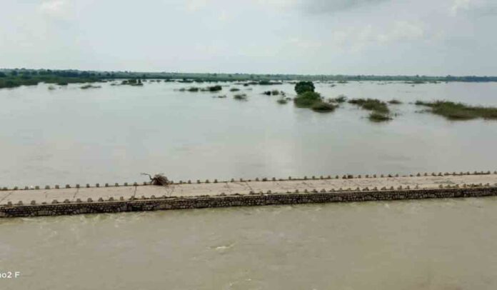 Manjira River | పురాత‌న వంతెన‌కు స‌మాంత‌రంగా మంజీరా ప‌ర‌వ‌ళ్లు-Namasthe ...