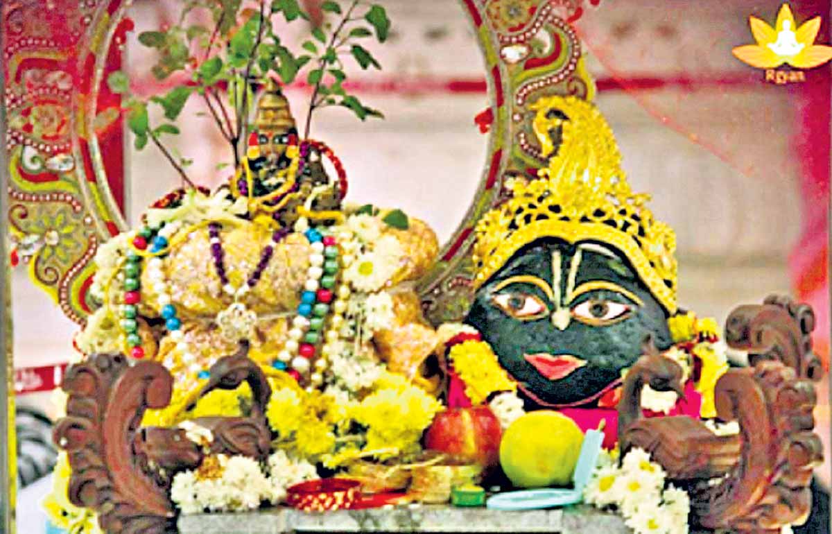 వందనం బృందావన తులసి-Namasthe Telangana