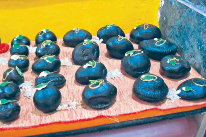 shaligram | సాల‌గ్రామం అంటే ఏంటి? వాటి ప్రాశ‌స్త్యమేంటి?-Namasthe Telangana