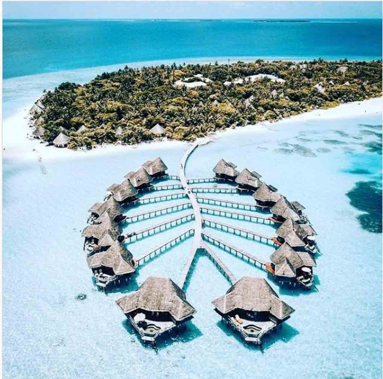 Coffee Caye | చందాలు పోగు చేసి దీవిని కొనేశారు !!-Namasthe Telangana