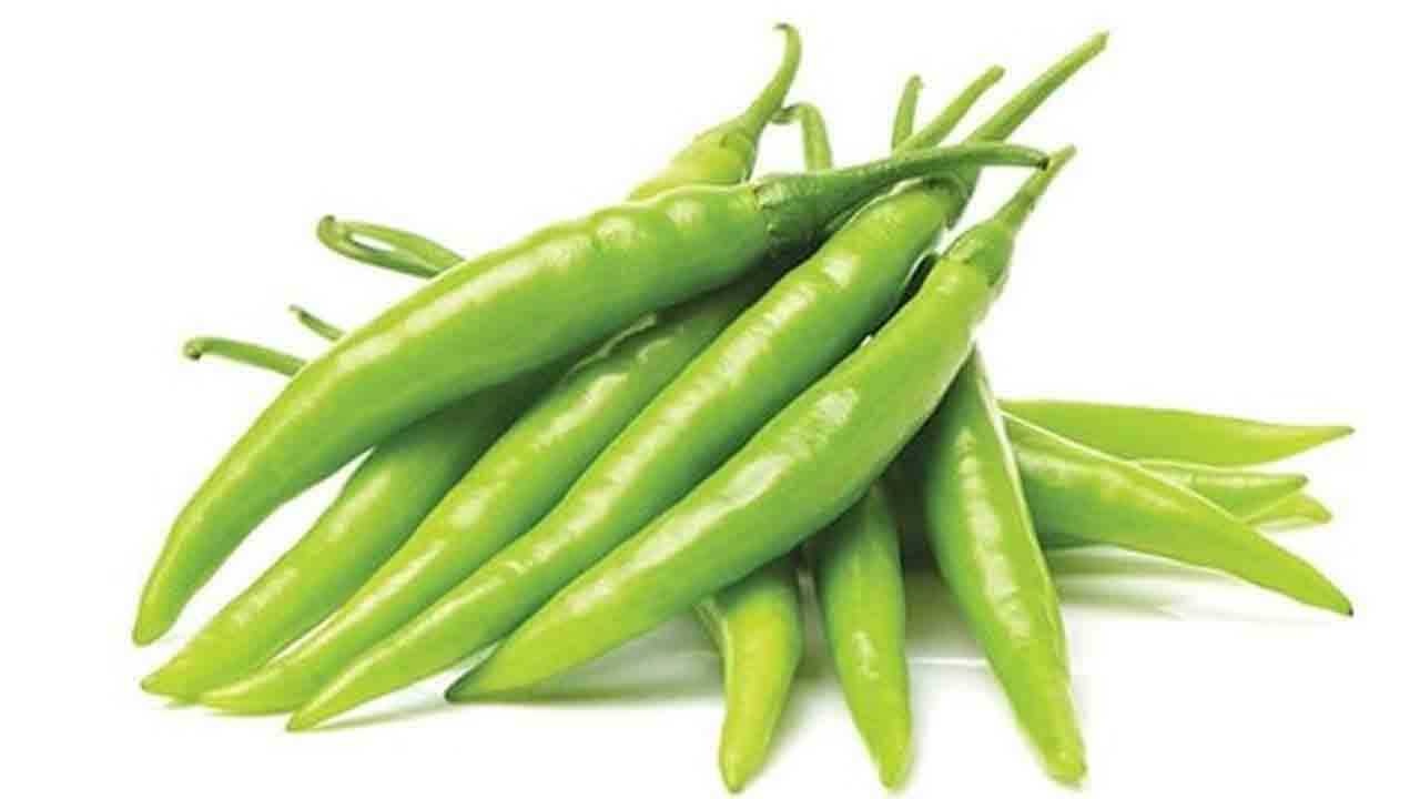 మిర్చితో మూడింతల లాభం!-Namasthe Telangana