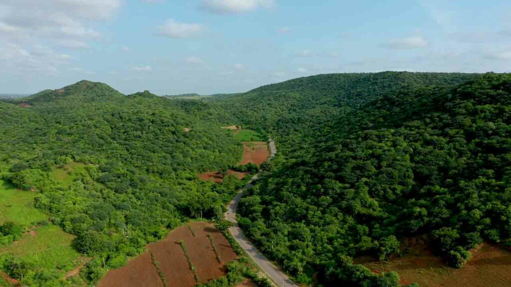 Somasila | చెక్కిన శిల్పం.. సోమశిల.. ప్రకృతి అందాలు చూసొద్దాం రండి ...