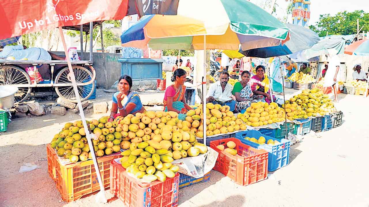 Kollapur Mango | రుచిలో రారాజు కొల్లాపూర్‌ మామిడి.. అంతర్జాతీయ ...