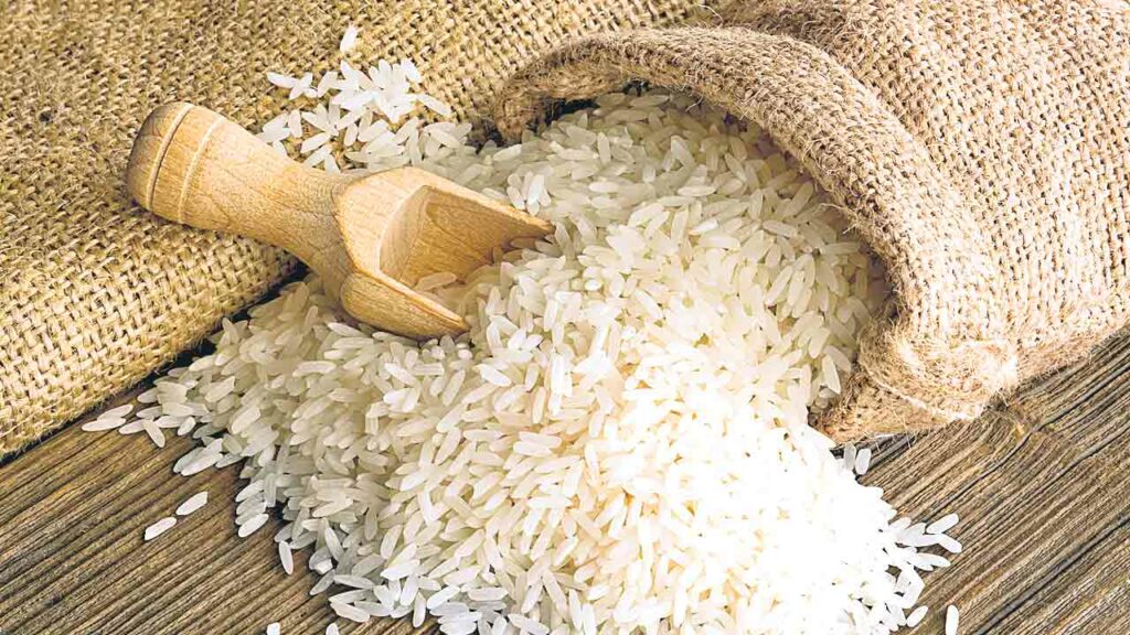 Rice Shortage | మోదీ సర్కారు తలతిక్క నిర్ణయాలతో.. ప్రమాదంలో 145 కోట్ల ...