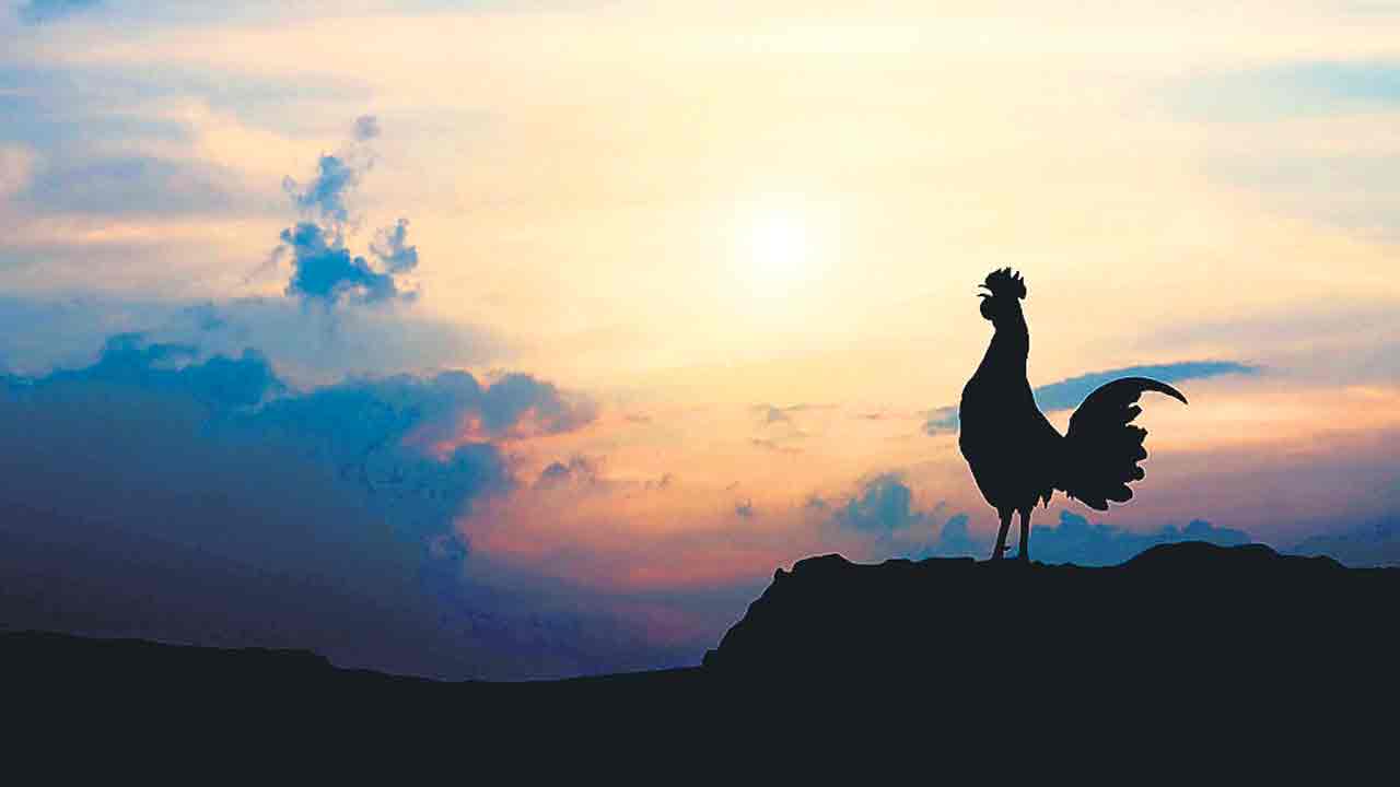 పొద్దు పొద్దున్నే చీకటి కథ-Namasthe Telangana