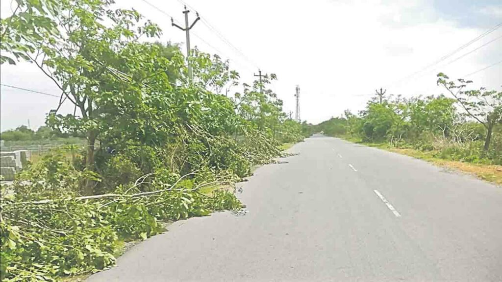 హరితహారంపై గొడ్డలి వేటు-Namasthe Telangana