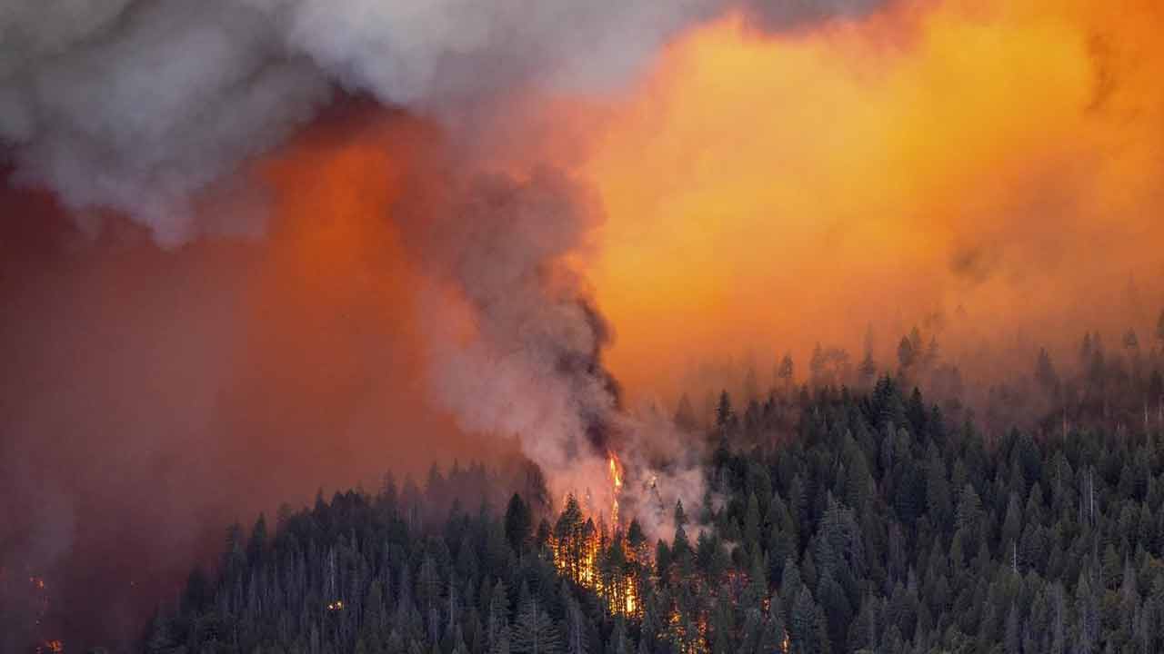 Wildfire in California | ఒక్కడు పెట్టిన మంట లక్షల ఎకరాలను బూడిద చేసింది ...